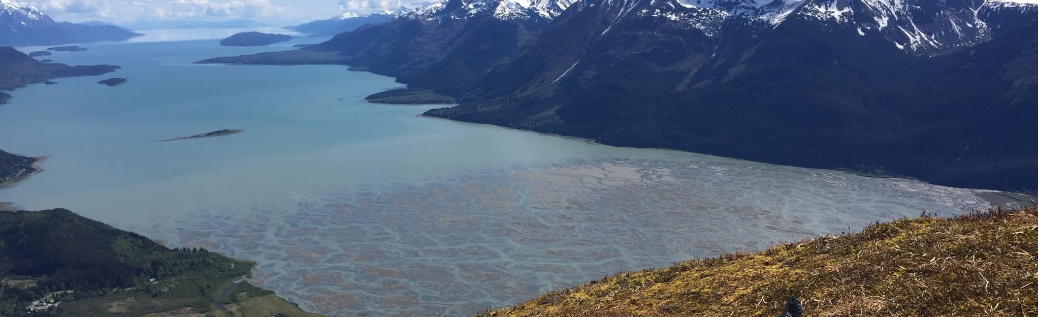 Mount Ripinsky Summit from Skyline Trailhead, Alaska - 45 Reviews, Map ...