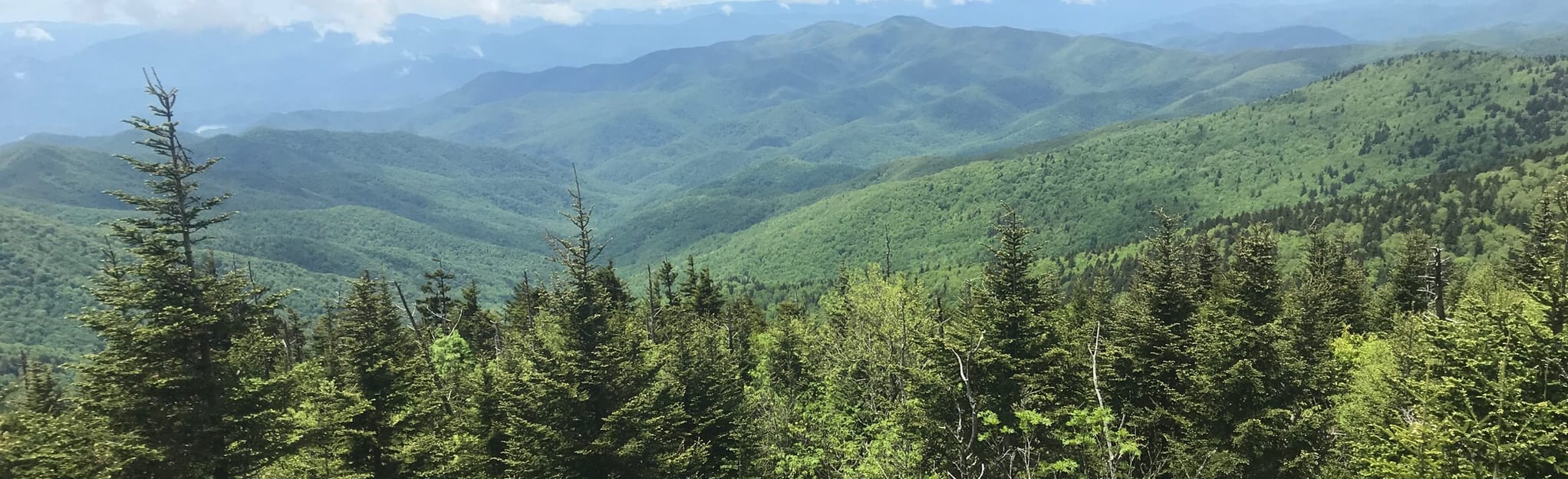 Double Spring Gap Shelter and Clingmans Dome via Appalachian Trail: 6. ...