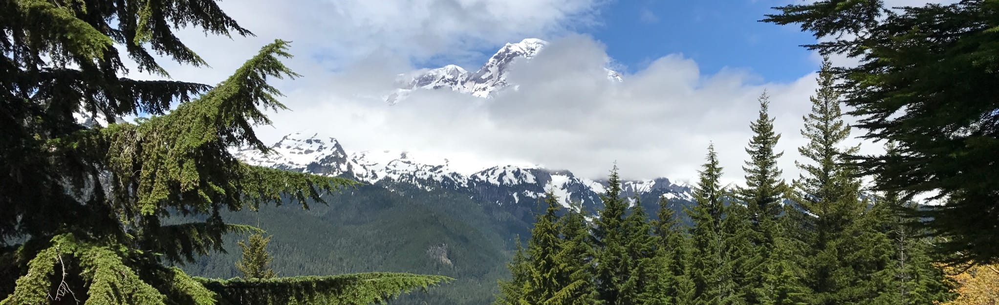 Rampart Ridge Loop Trail, 1 868 Photos - Washington | AllTrails