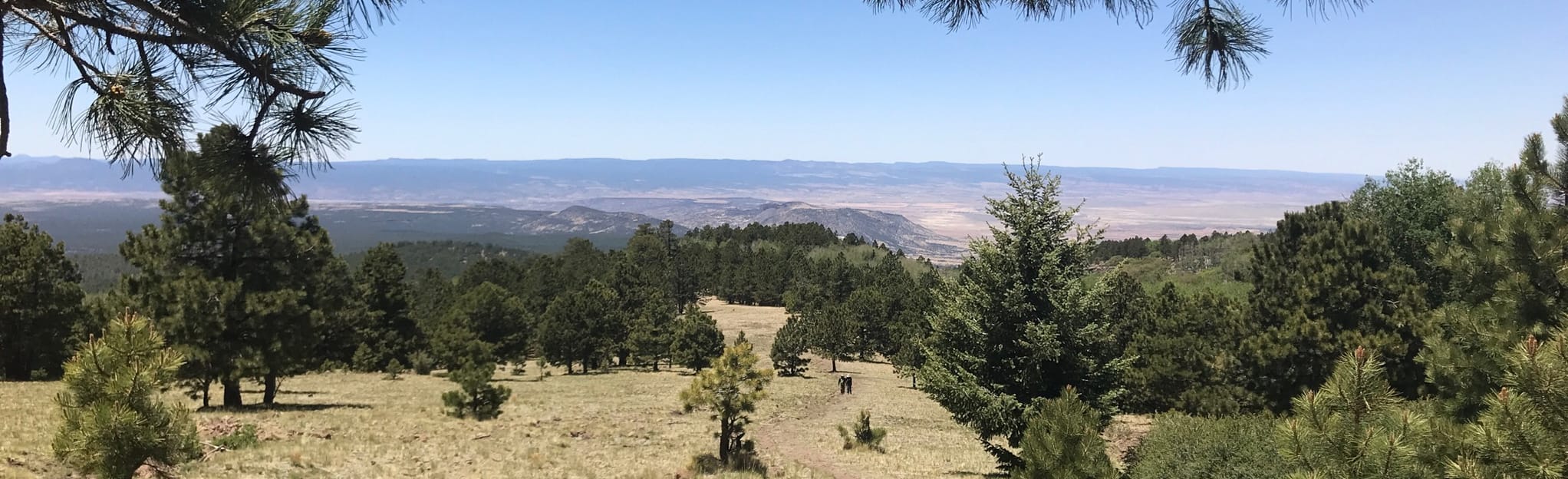 Gooseberry Springs and Mount Taylor Loop: 44 Reviews, Map - New Mexico ...