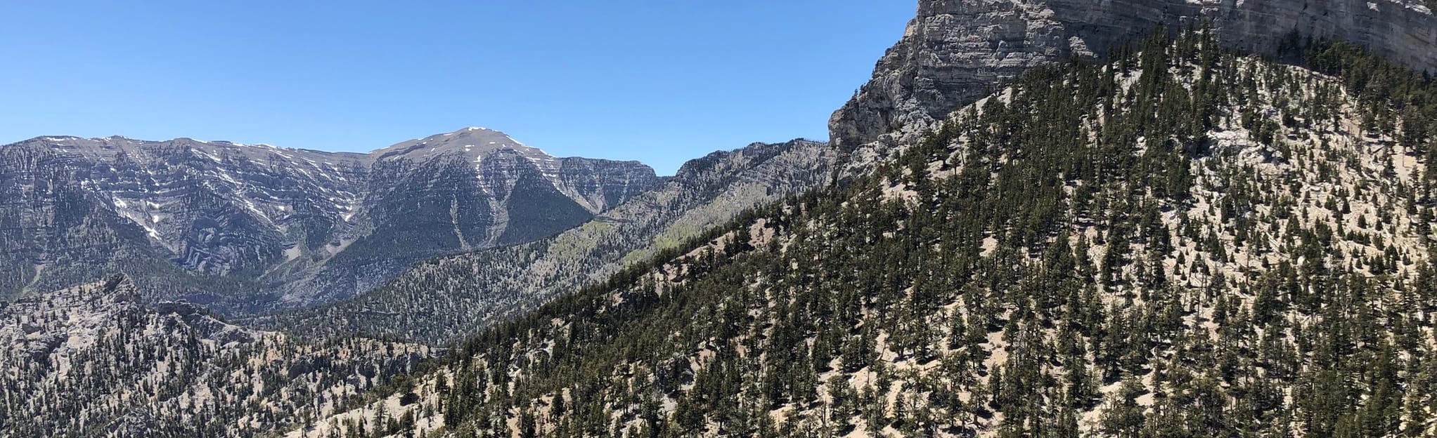 Fletcher Peak Trail, Nevada - 1,091 Reviews, Map | AllTrails