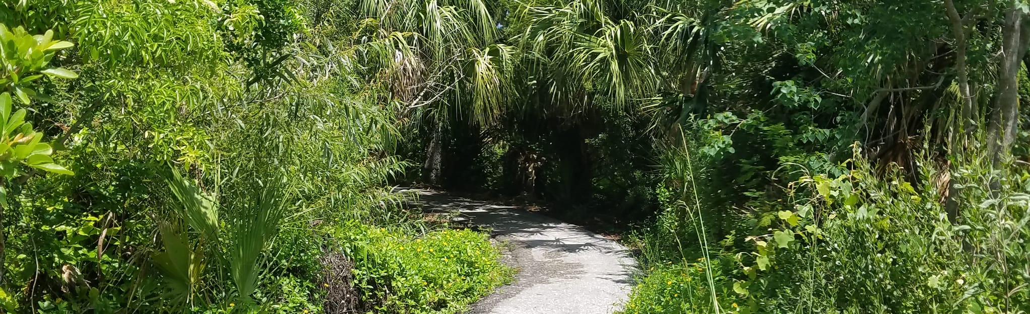 Bonner Park Loop: 19 Reviews, Map - Florida | AllTrails