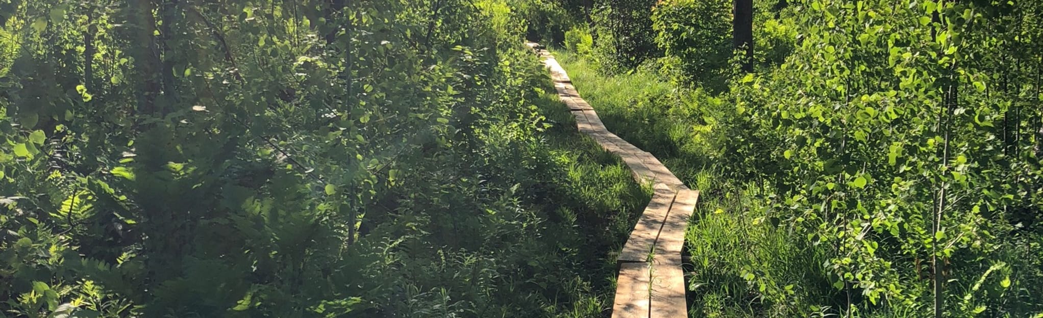 Smith Pond Loop Trail | Map, Guide - New Hampshire | AllTrails