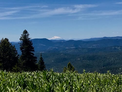 2023 Best Long Trails in Ochoco National Forest | AllTrails