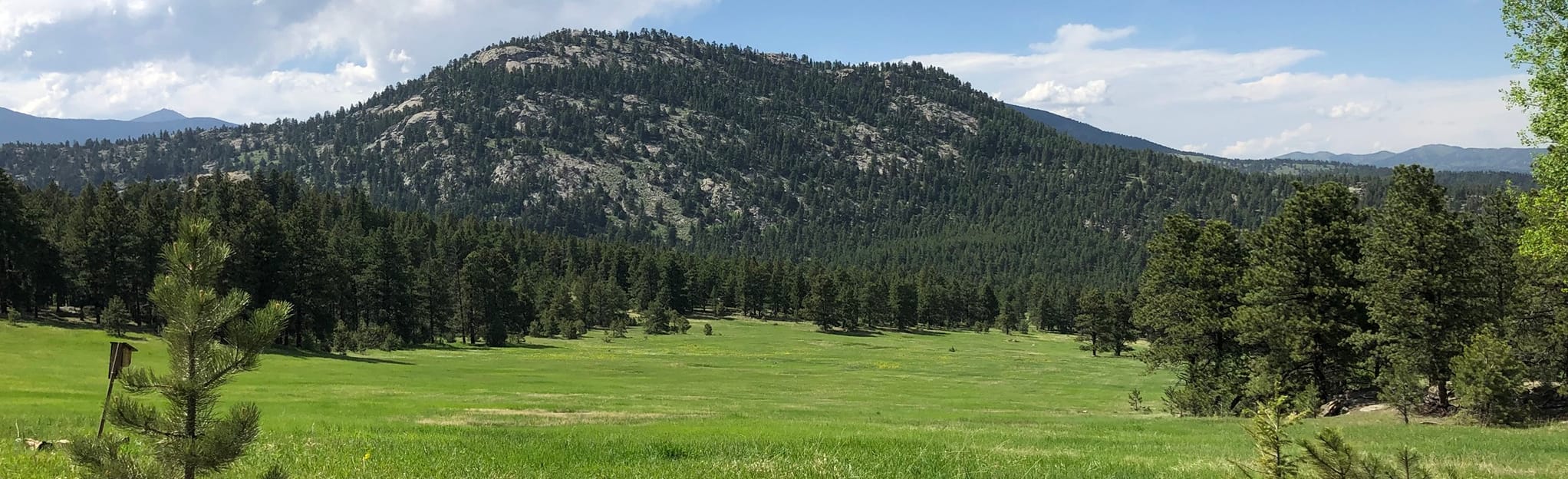 Evergreen Mountain, Wild Iris, Silver Fox, Ponderosa, and Sisters Loop ...