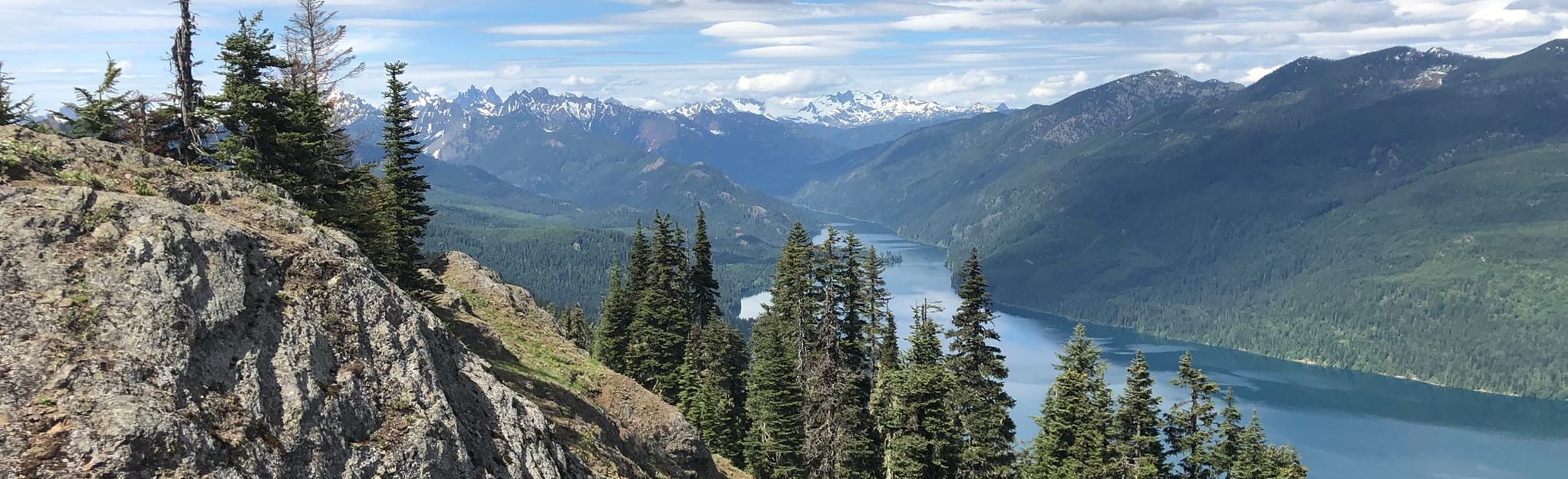 Amabilis Mountain Loop, Washington - 102 Reviews, Map | AllTrails