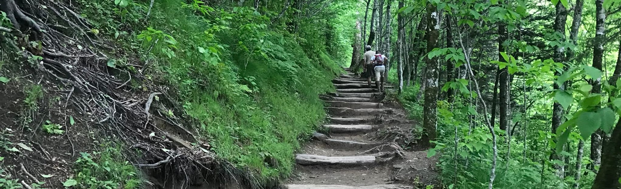 Appalachian Trail: Newfound Gap to Davenport Gap: 71 Reviews, Map ...