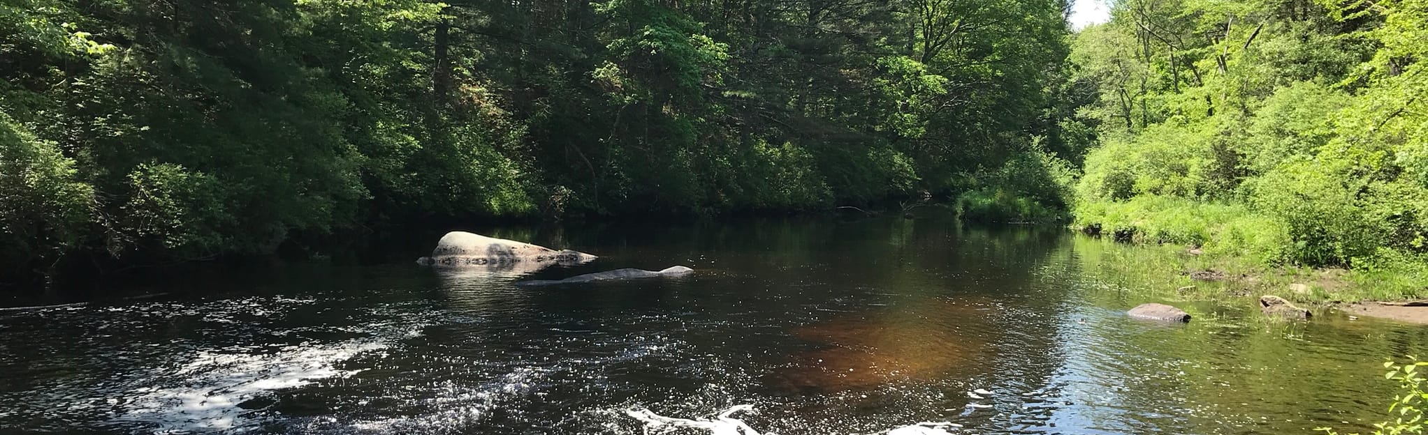 North South Trail: Carbuncle Pond to Grand Army Hwy, Rhode Island - 44 ...