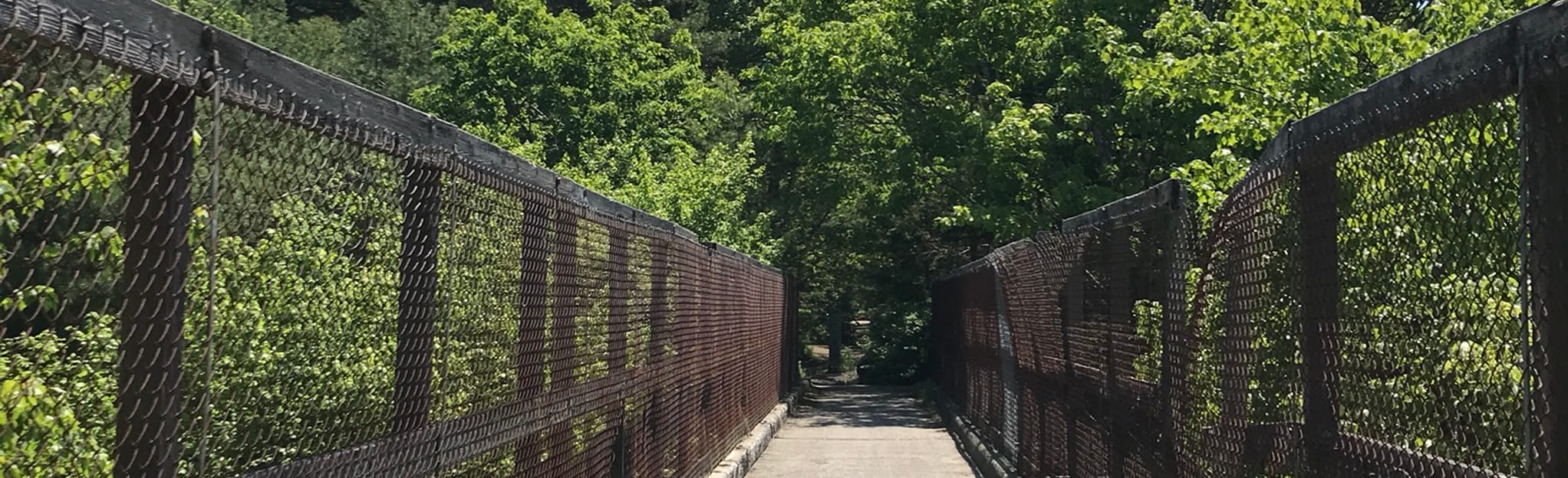 Trestle Trail and Carbuncle Pond: 76 Reviews, Map - Rhode Island ...