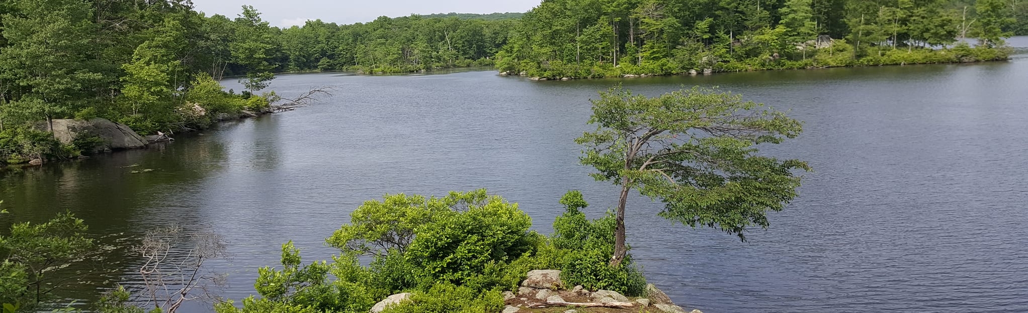 Splitrock Reservoir Trail - New Jersey | AllTrails