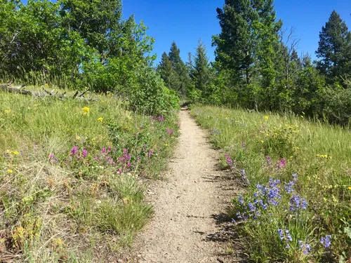 10 Best Trails and Hikes in Littleton | AllTrails