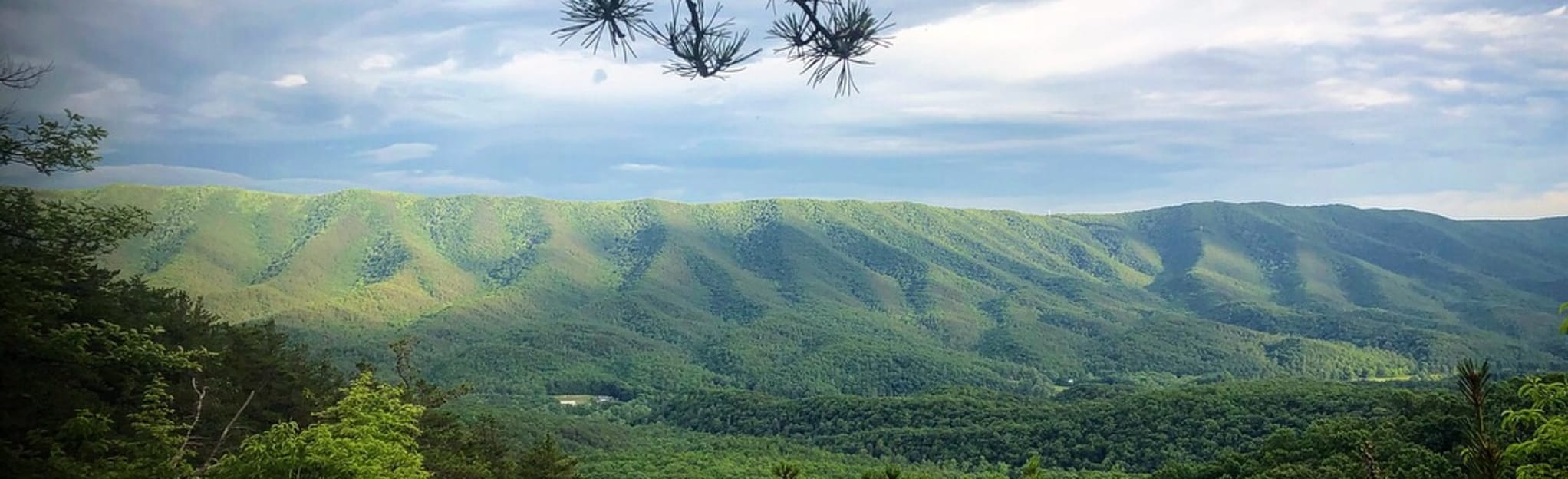 Appalachian Trail: Sinking Creek Mountain to Sarver Hollow, Virginia ...