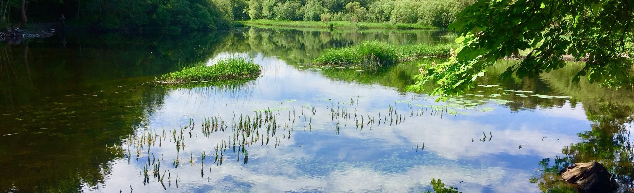 Cong Woods and Cong South River Circular: 150 foto - County Mayo ...