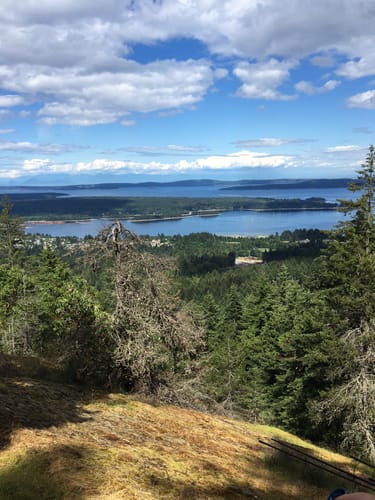2023 Best 10 Trails and Hikes in Ladysmith | AllTrails