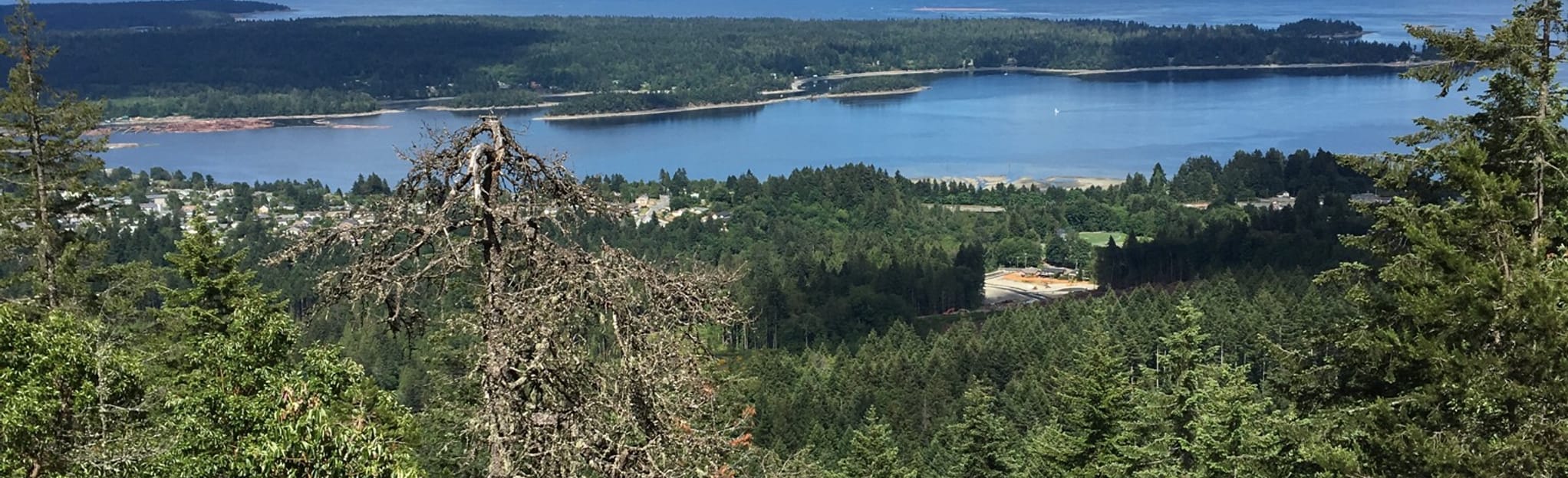 Stocking Lake Loop, British Columbia, Canada - 71 Reviews, Map | AllTrails