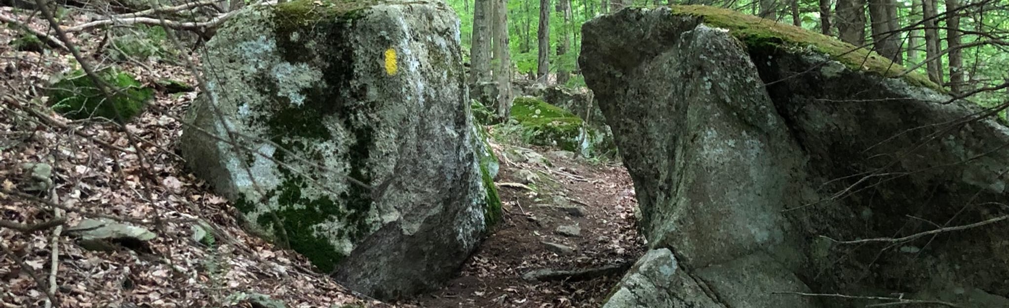 Knapp Trail Loop, Connecticut - 43 Reviews, Map | AllTrails
