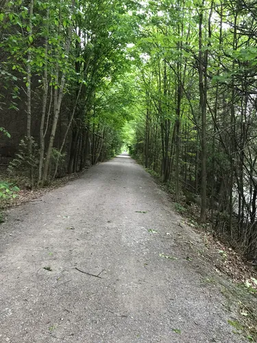 10 Best Trails and Hikes in Peterborough | AllTrails