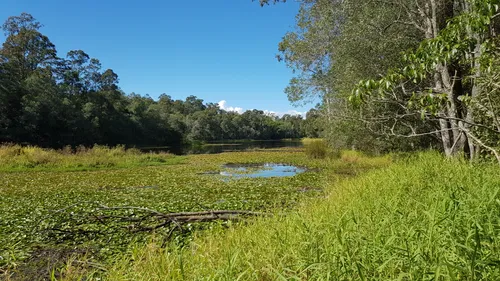 2023 Best 10 Trails and Hikes in Queensland | AllTrails
