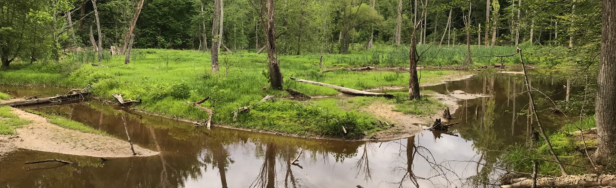 Smallwood State Park Campground Trail | Map, Guide - Maryland | AllTrails