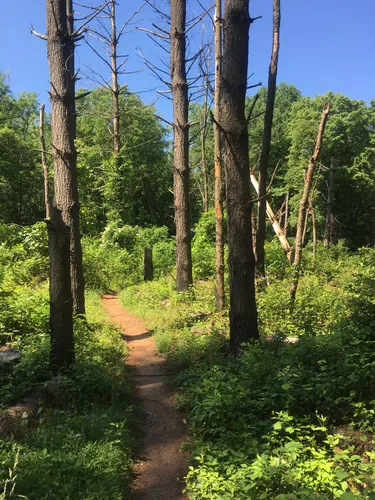 Best 10 Hiking Trails in Seneca Creek State Park | AllTrails