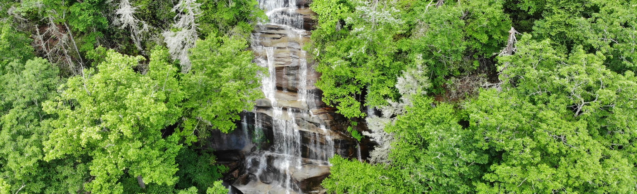 Daniel Ridge Loop, North Carolina - 1,776 Reviews, Map | AllTrails