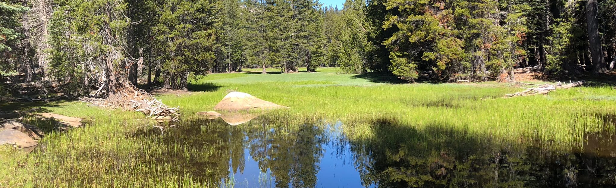 Lake Alpine and Duck Lake Loop, California - 78 Reviews, Map | AllTrails