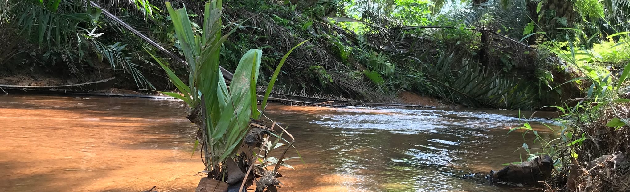 Gunung Muntahak melalui Indahpura | Map, Guide - Johor, Malaysia#N ...
