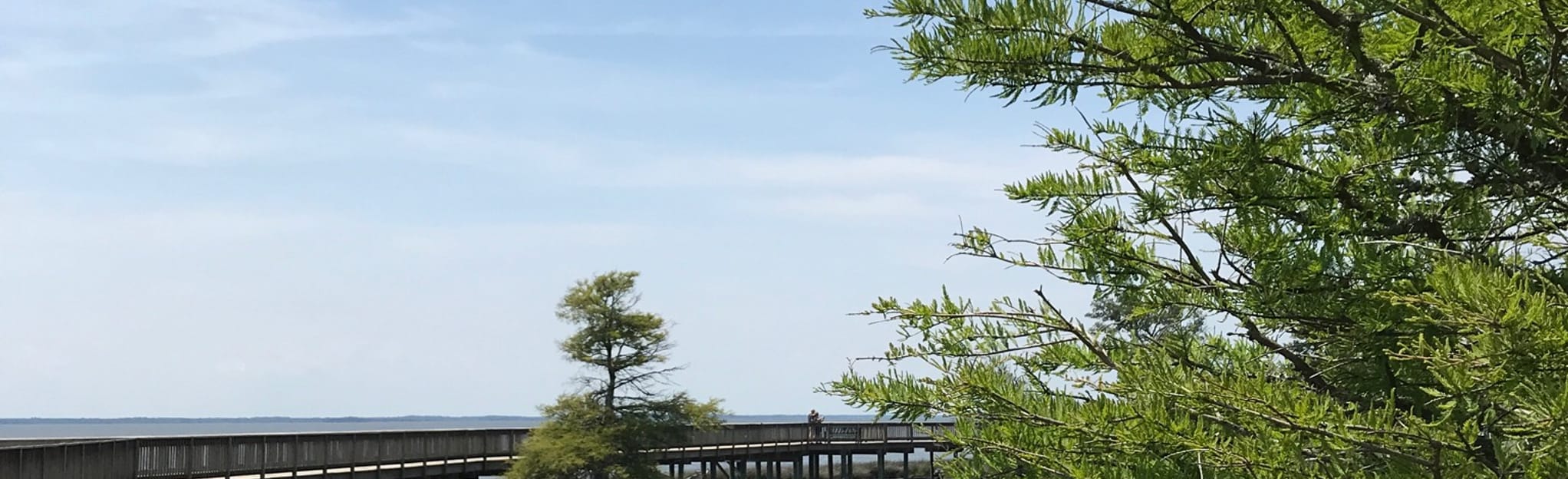 Duck Town Park Boardwalk: 62 Fotos - North Carolina | AllTrails