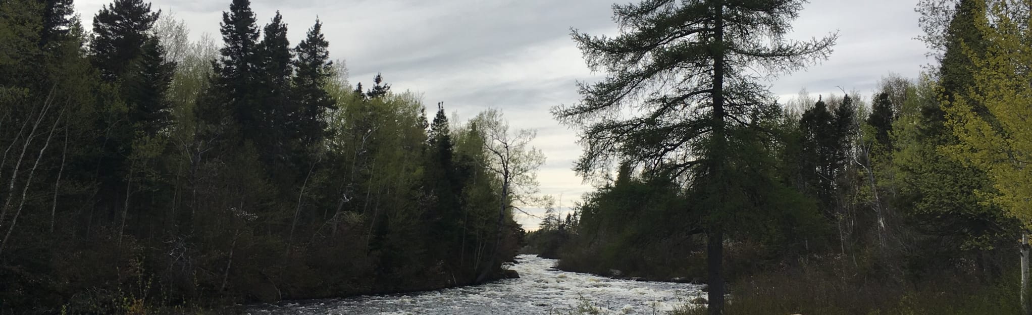 Madeline's Trail via Middle Brook Trail - Newfoundland and Labrador ...