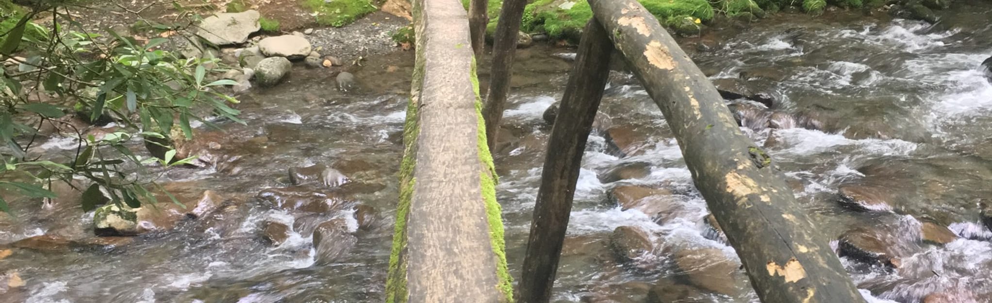 Bradley Fork, Dry Sluice Gap, Hughes Ridge and Chasteen Creek Loop ...