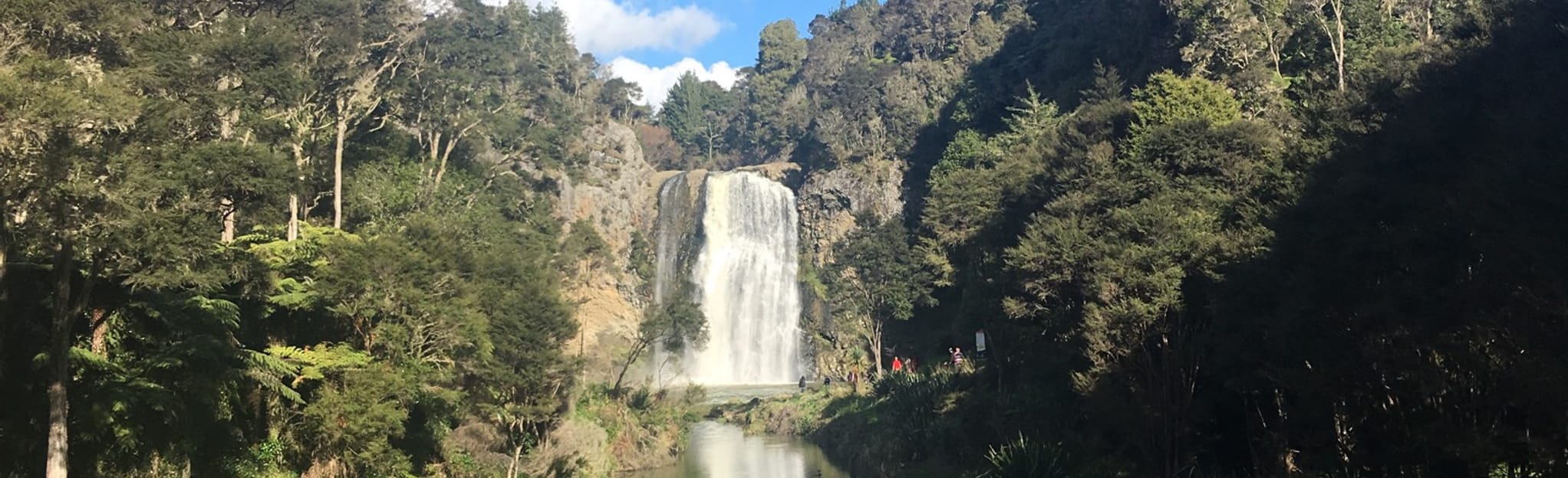 Hunua Falls Trail: 43 Reviews, Map - Auckland, New Zealand | AllTrails