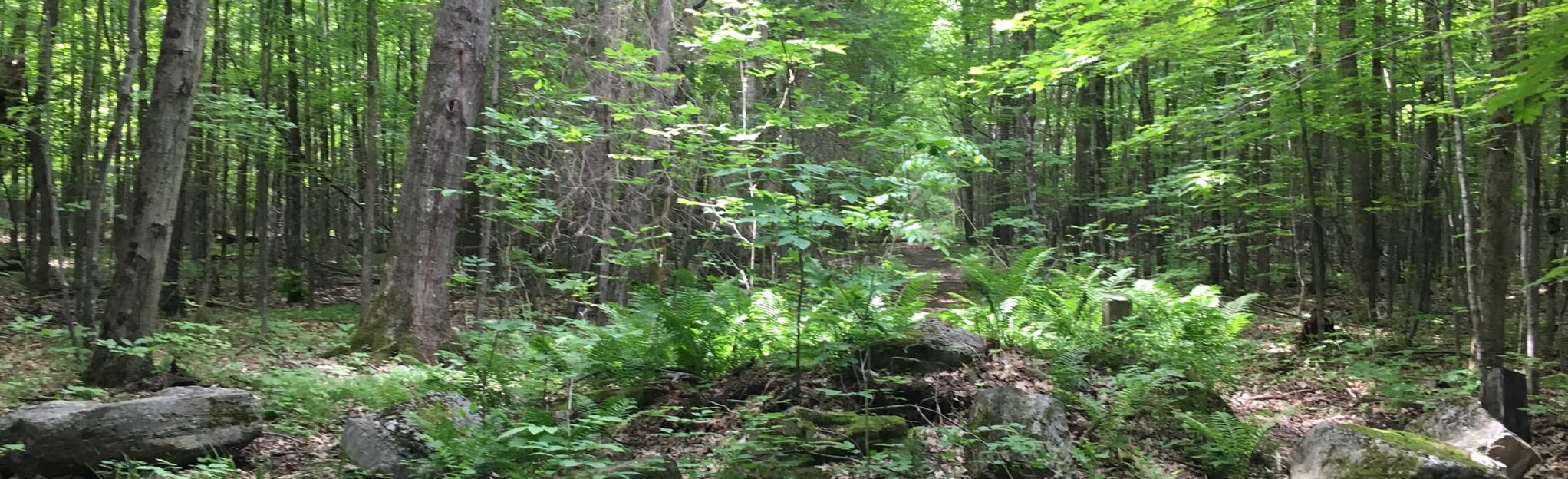 Indian Point, Ontario, Canada - 5 Reviews, Map | AllTrails