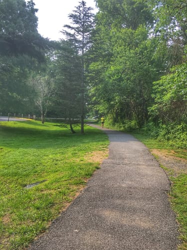 Best Hikes and Trails in Mariner Point Park | AllTrails