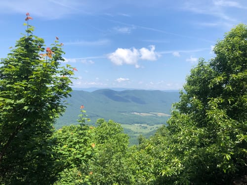 2023 Best 10 Camping Trails in Jefferson National Forest | AllTrails