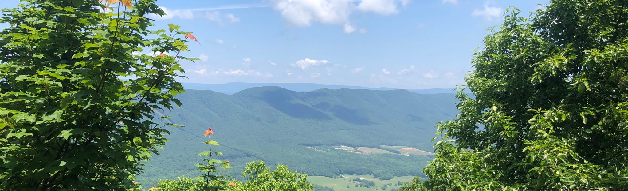 Dragon's Tooth, Mcafee Knob and Tinker Cliff's, Virginia - 170 Reviews ...