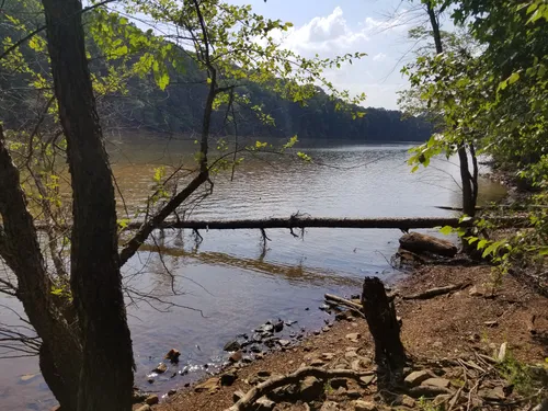 Best Hikes and Trails in Blanket Creek MTB Park | AllTrails