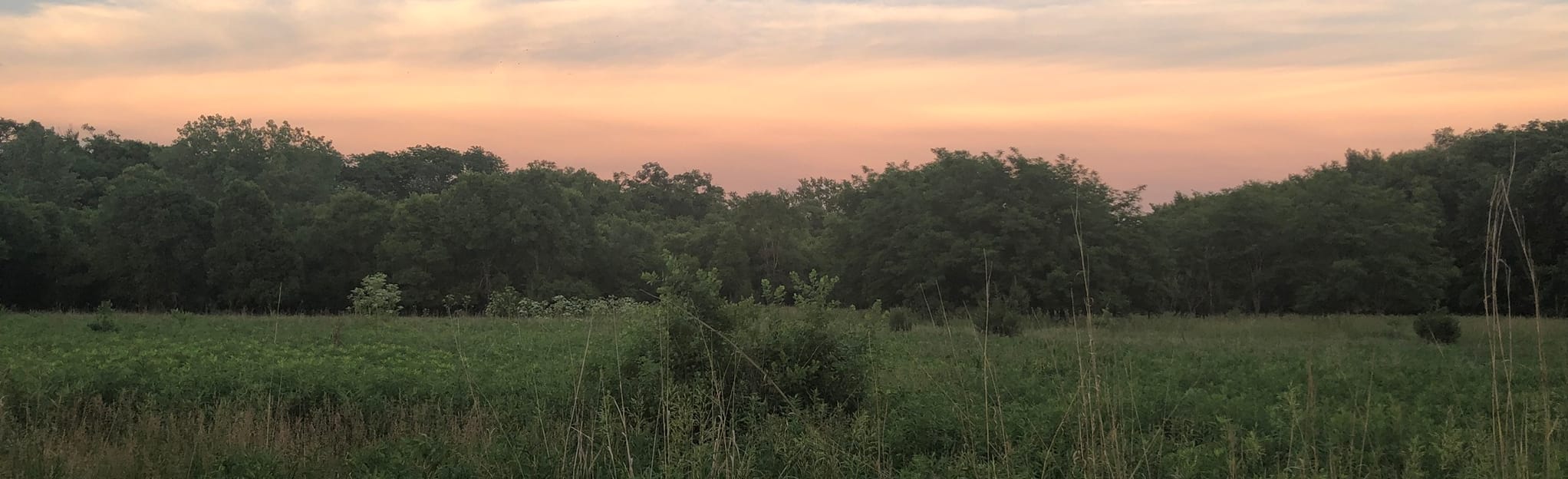 Zorinsky Lake West Trail: 426 Reviews, Map - Nebraska | AllTrails