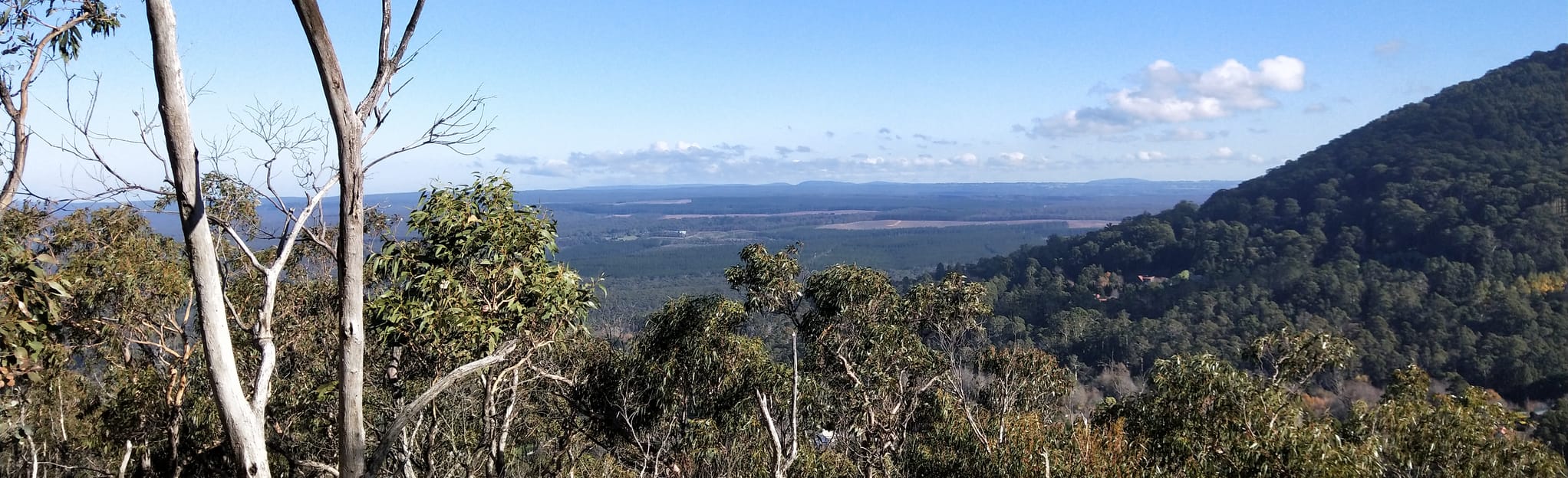 Mount Towrong and Camel's Hump Loop Trail: 1.133 foto - Victoria ...