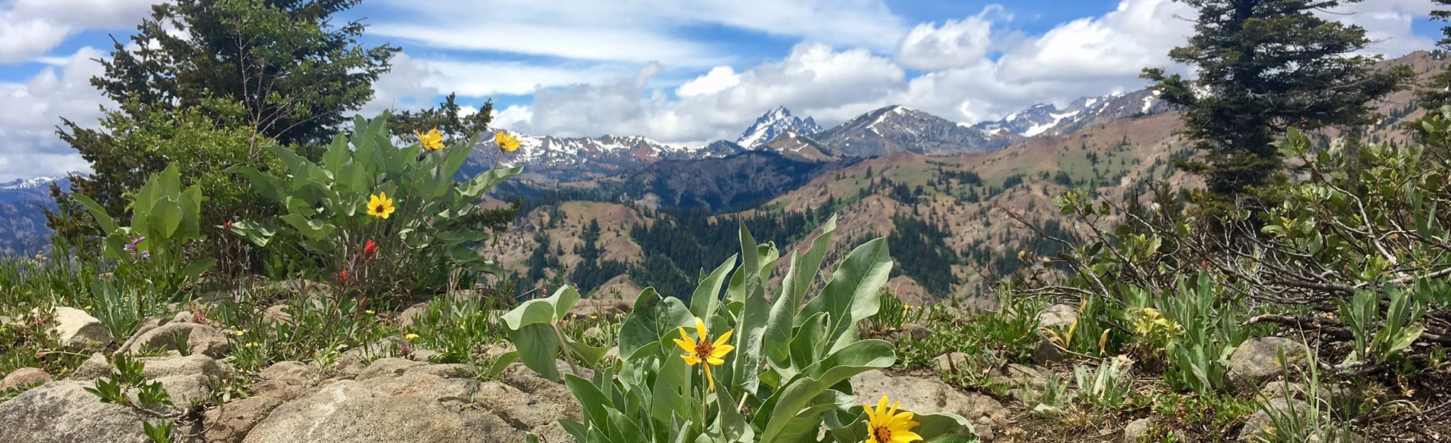 Teanaway Ridge Trail (#1364), Washington - 58 Reviews, Map | AllTrails