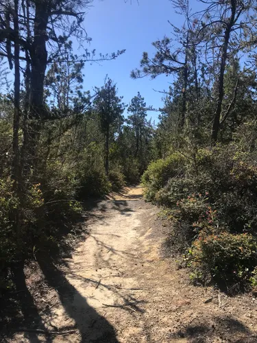 10 Best Hikes and Trails in Salt Point State Park | AllTrails