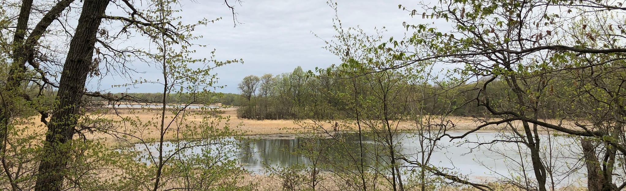 AllTrails | Maria Lake Loop Trail: 229 Reviews, Map - Minnesota