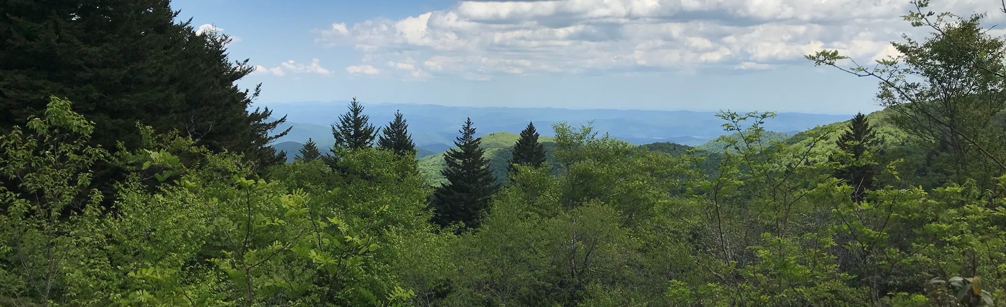 Big East Fork, Greasy Cove, Art Loeb, and Shining Creek Path Loop: 106 ...