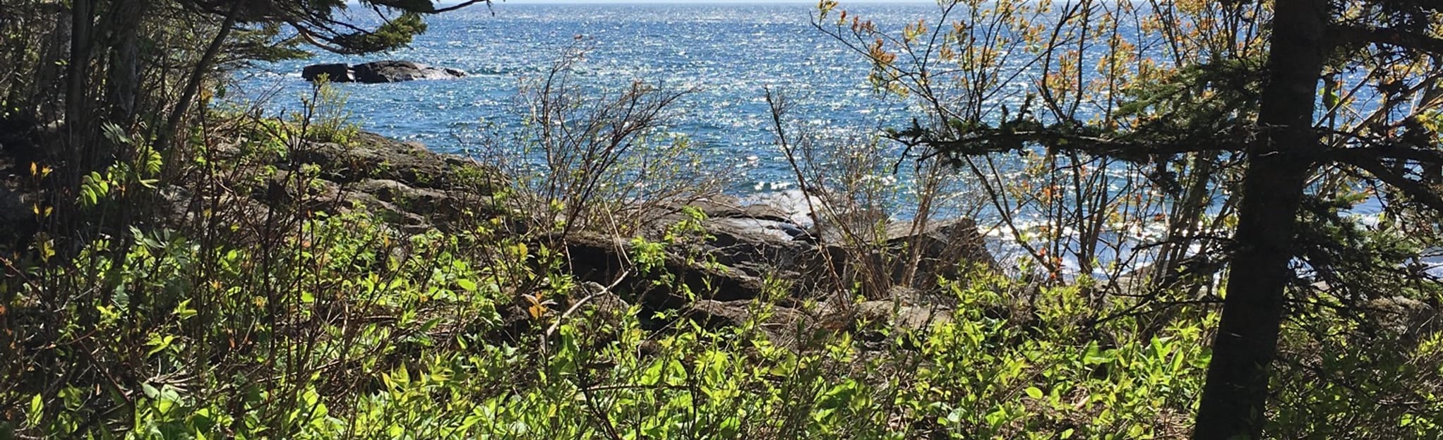 AllTrails | Cascade River State Park Lake Trail: 75 Reviews, Map ...