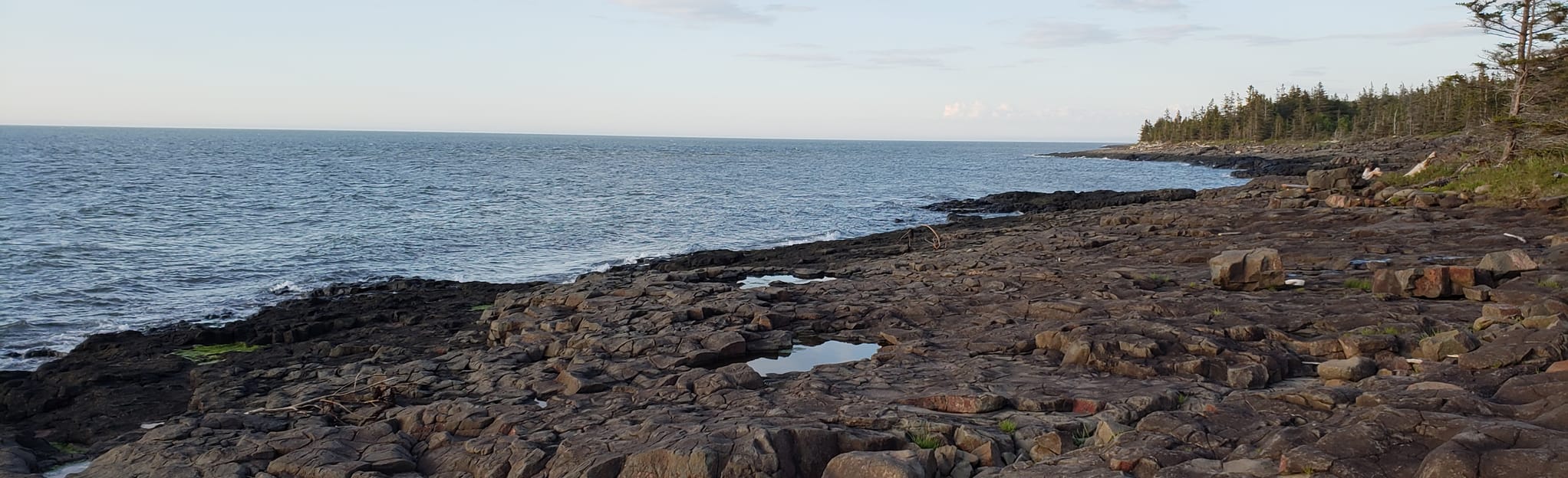 Bohaker Trail to Delap's Cove - Nova Scotia, Canada | AllTrails