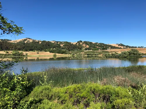 10 Best Trails and Hikes in Mount Hamilton | AllTrails