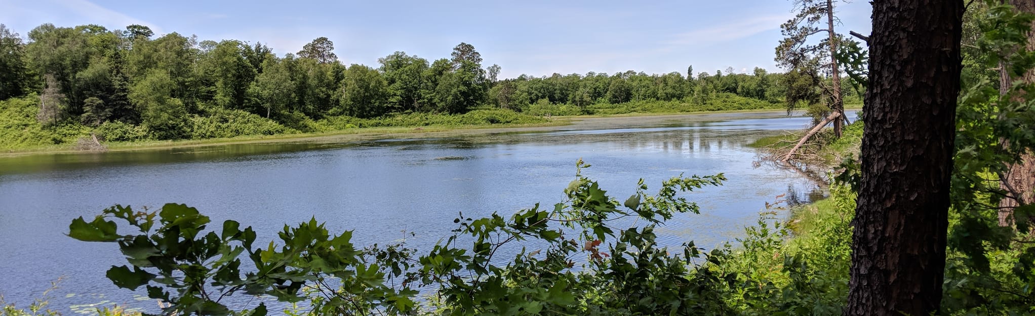 Dr. Roberts Trail, Minnesota - 195 Reviews, Map | AllTrails