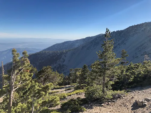 10 Best Trails and Hikes in Lytle Creek | AllTrails