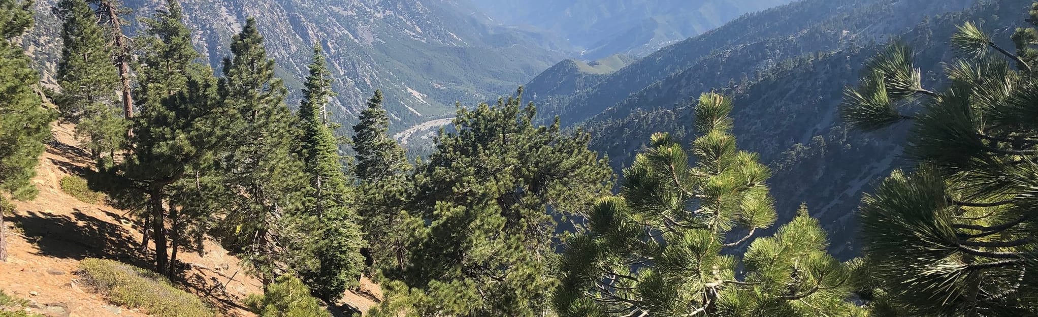 Mount San Antonio, Ski Hut, and Falls via Baldy Bowl Trailhead ...