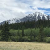 Alsek Valley Trail, Yukon, Canada - 23 Reviews, Map | AllTrails