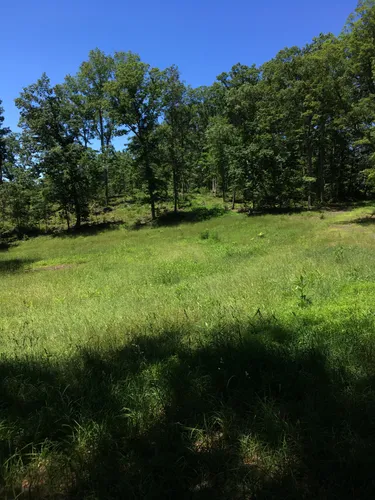 Best Hikes and Trails in Green Ridge State Forest | AllTrails